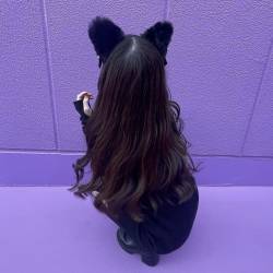 仕上がり絶品！手のひらサイズのリファビューテック ドライヤーSE | tokila