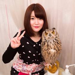 仕上がり絶品！手のひらサイズのリファビューテック ドライヤーSE | tokila